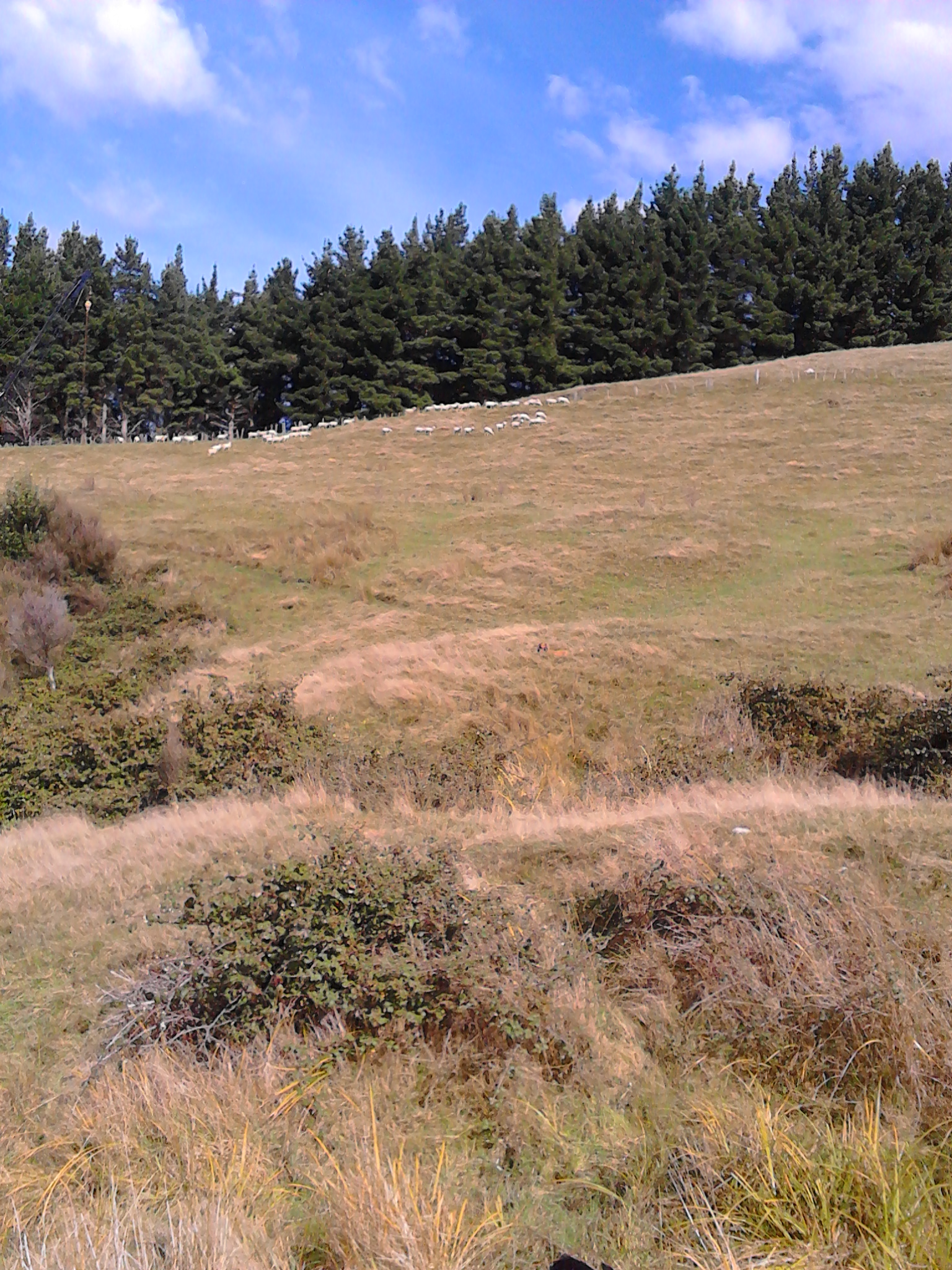 Tutira – Farmminder Services